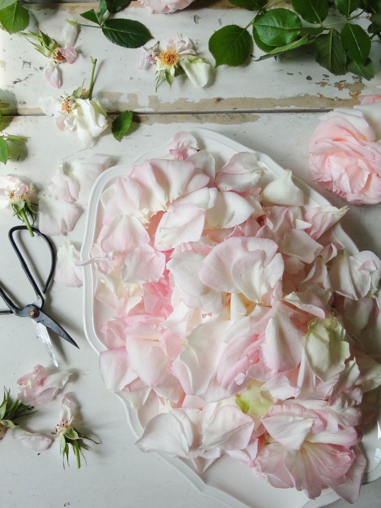 rose & raspberry jam