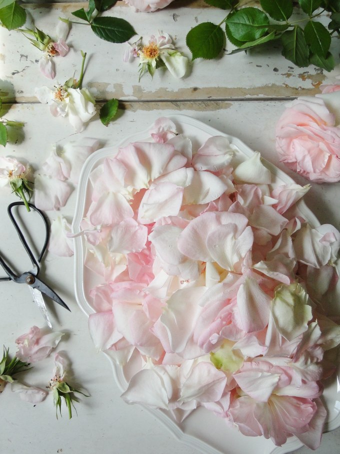 rose & raspberry jam