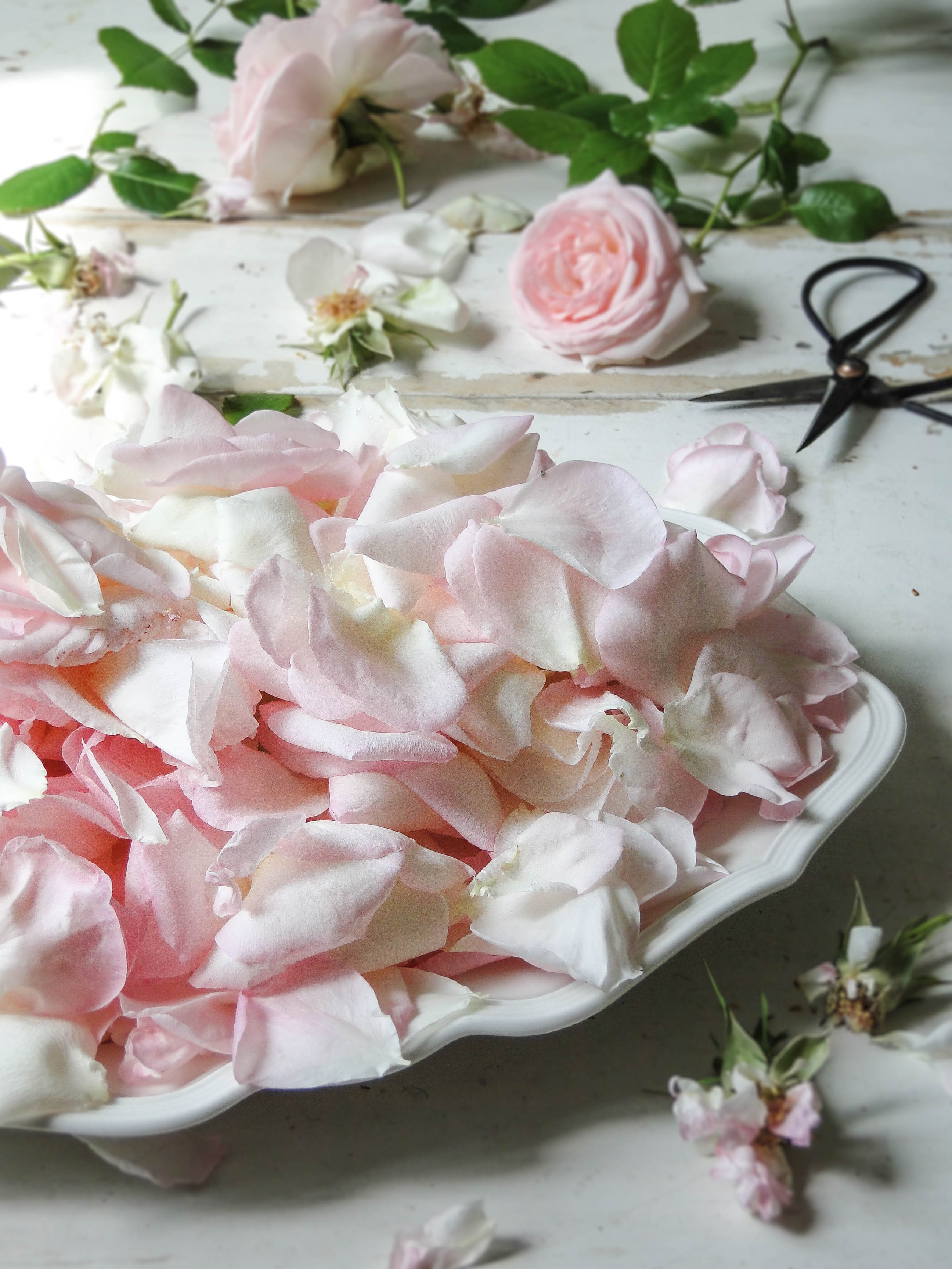 rose & raspberry jam