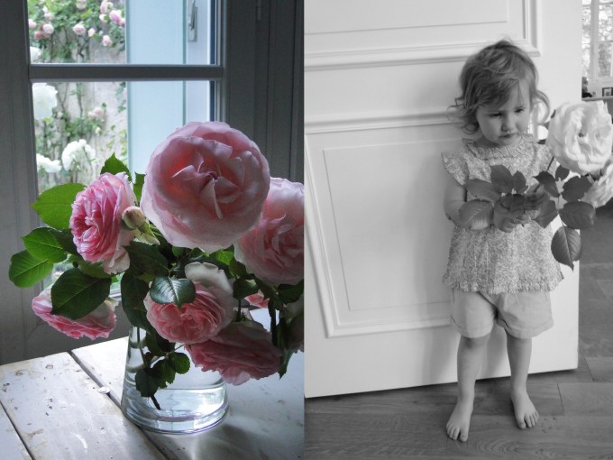 rose & raspberry jam